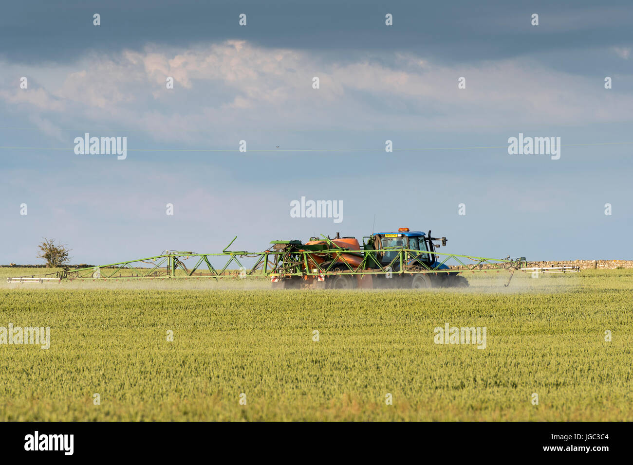 Farmer spraying wheat crop with a herbicide on a summers evening, Co ...