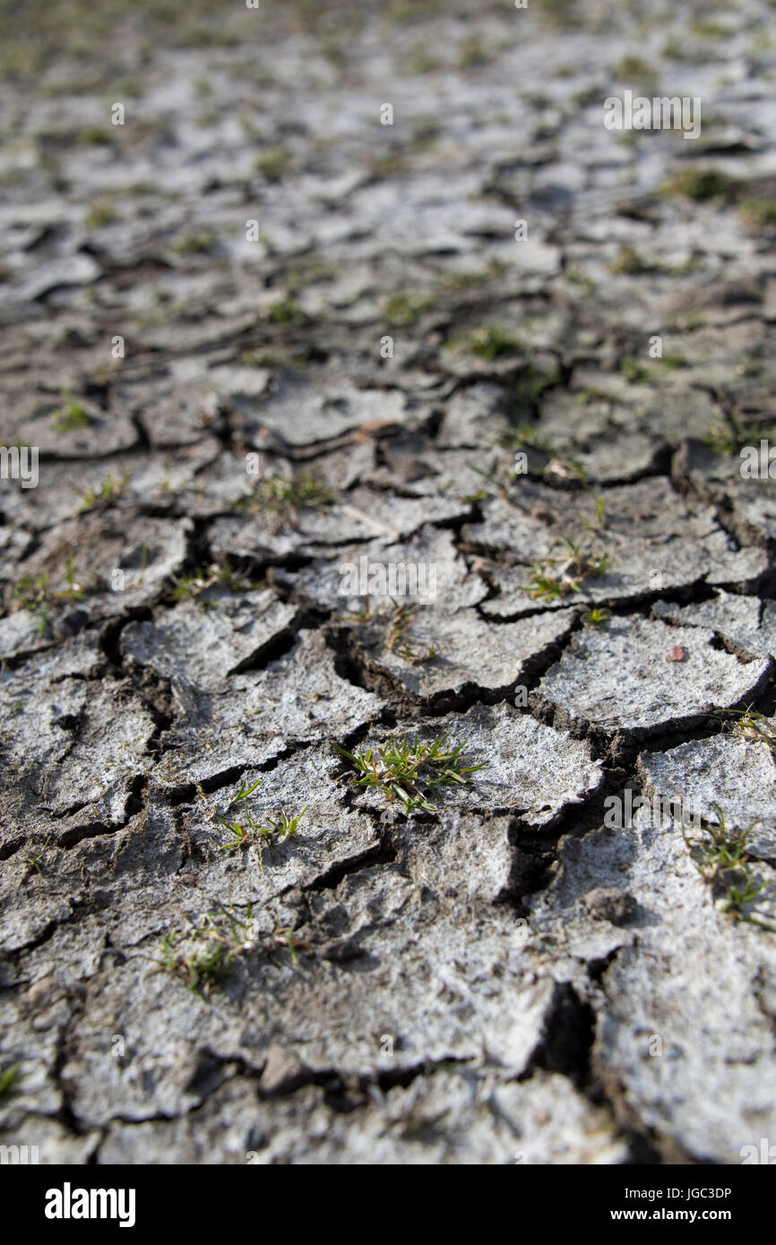 Mud drying during drought hi-res stock photography and images - Alamy
