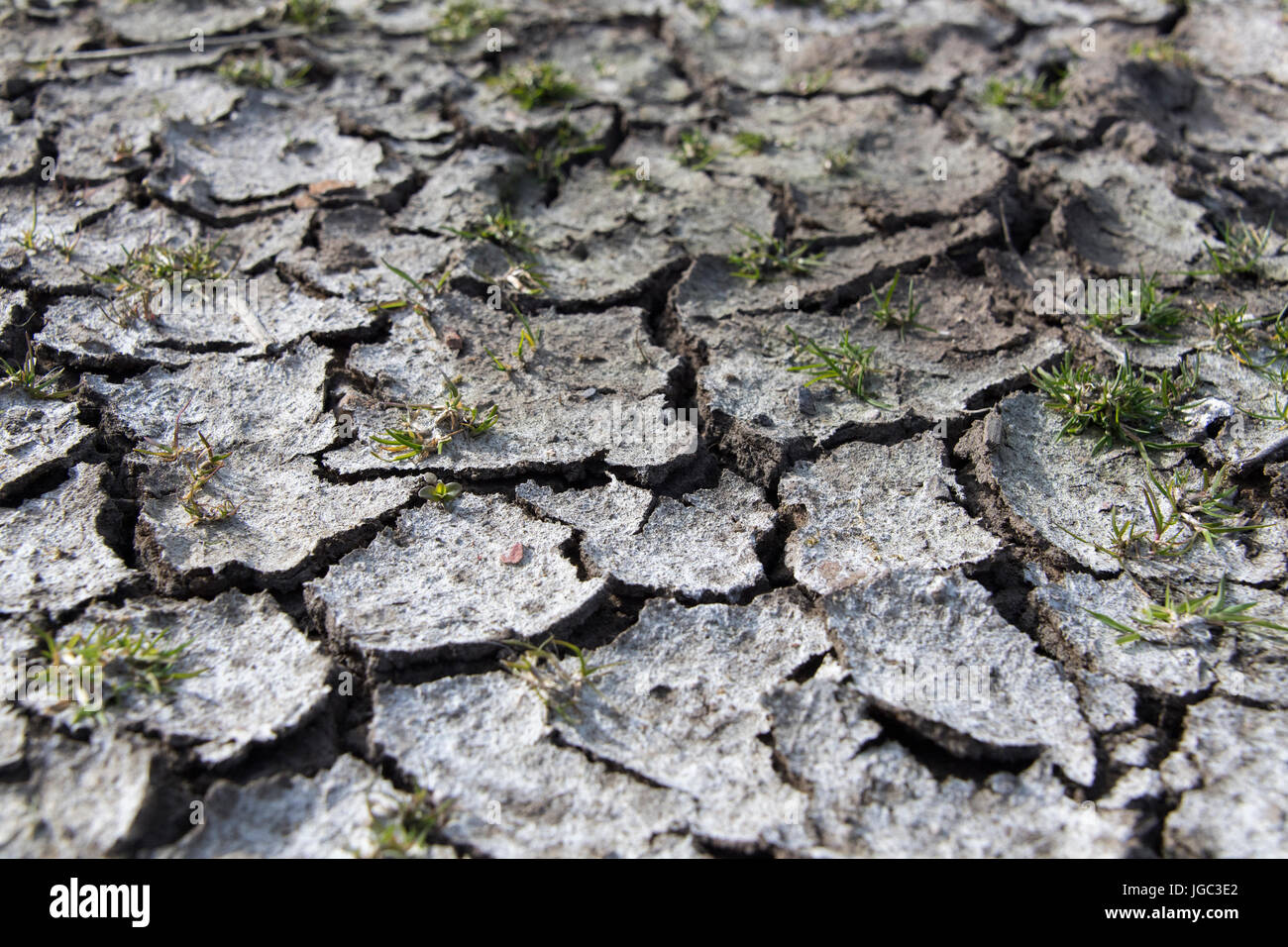 Mud drying during drought hi-res stock photography and images - Alamy
