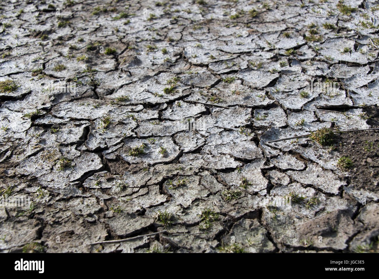 Mud drying during drought hi-res stock photography and images - Alamy