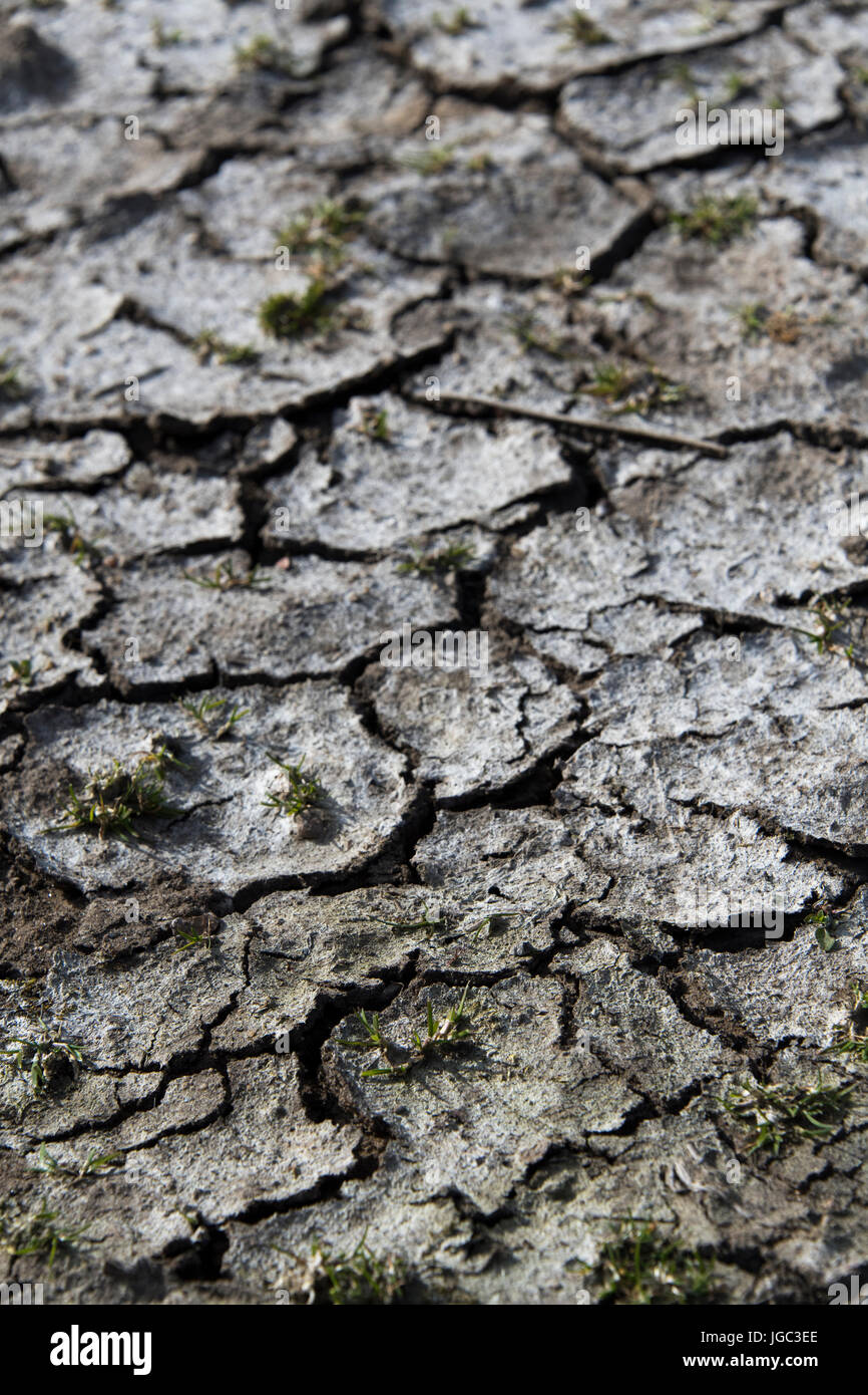 Mud drying out hi-res stock photography and images - Alamy