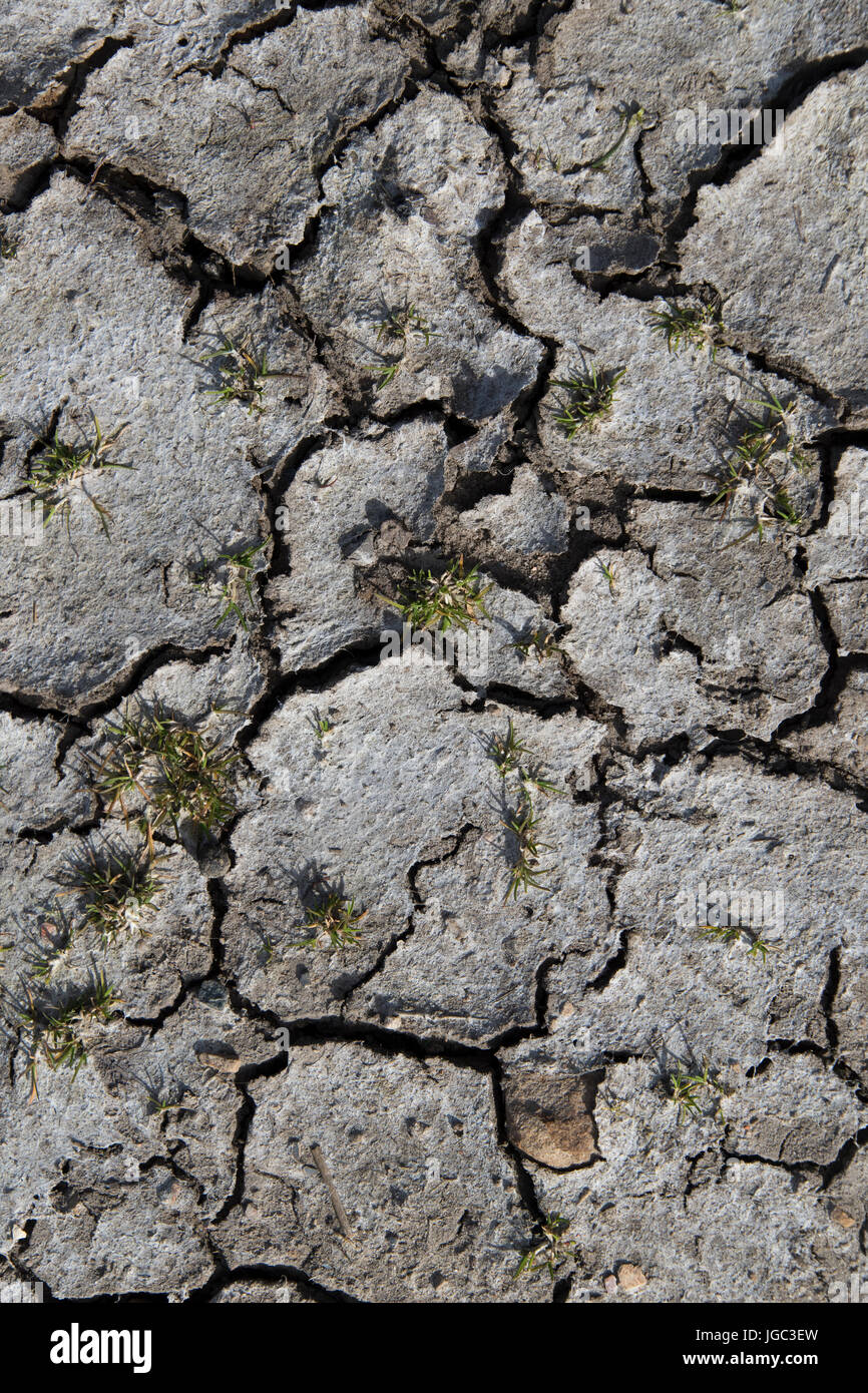 Dried Out Riverbed High Resolution Stock Photography and Images - Alamy