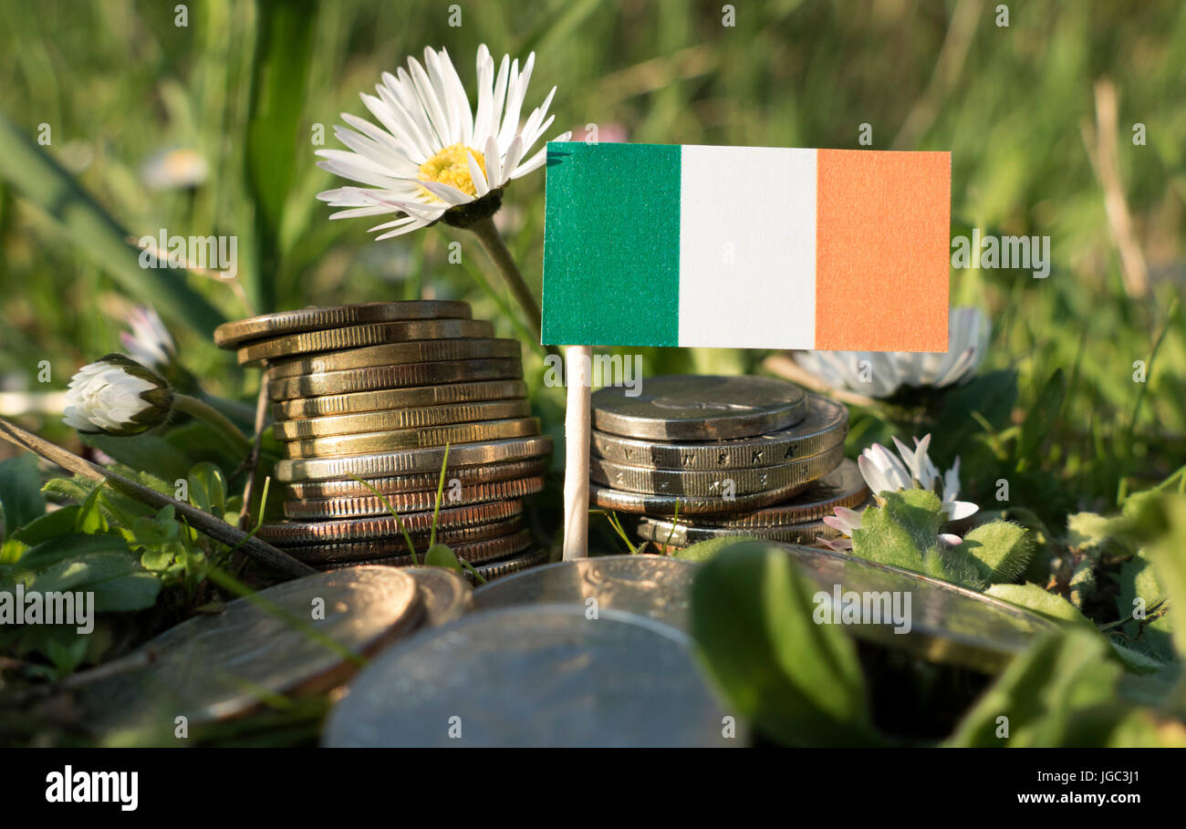 Irish flag with stack of money coins with grass and flowers Stock Photo ...