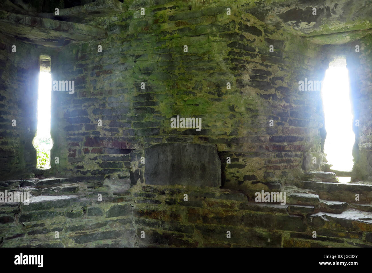 Carrigafoyle Castle, County Kerry, Ireland Stock Photo - Alamy
