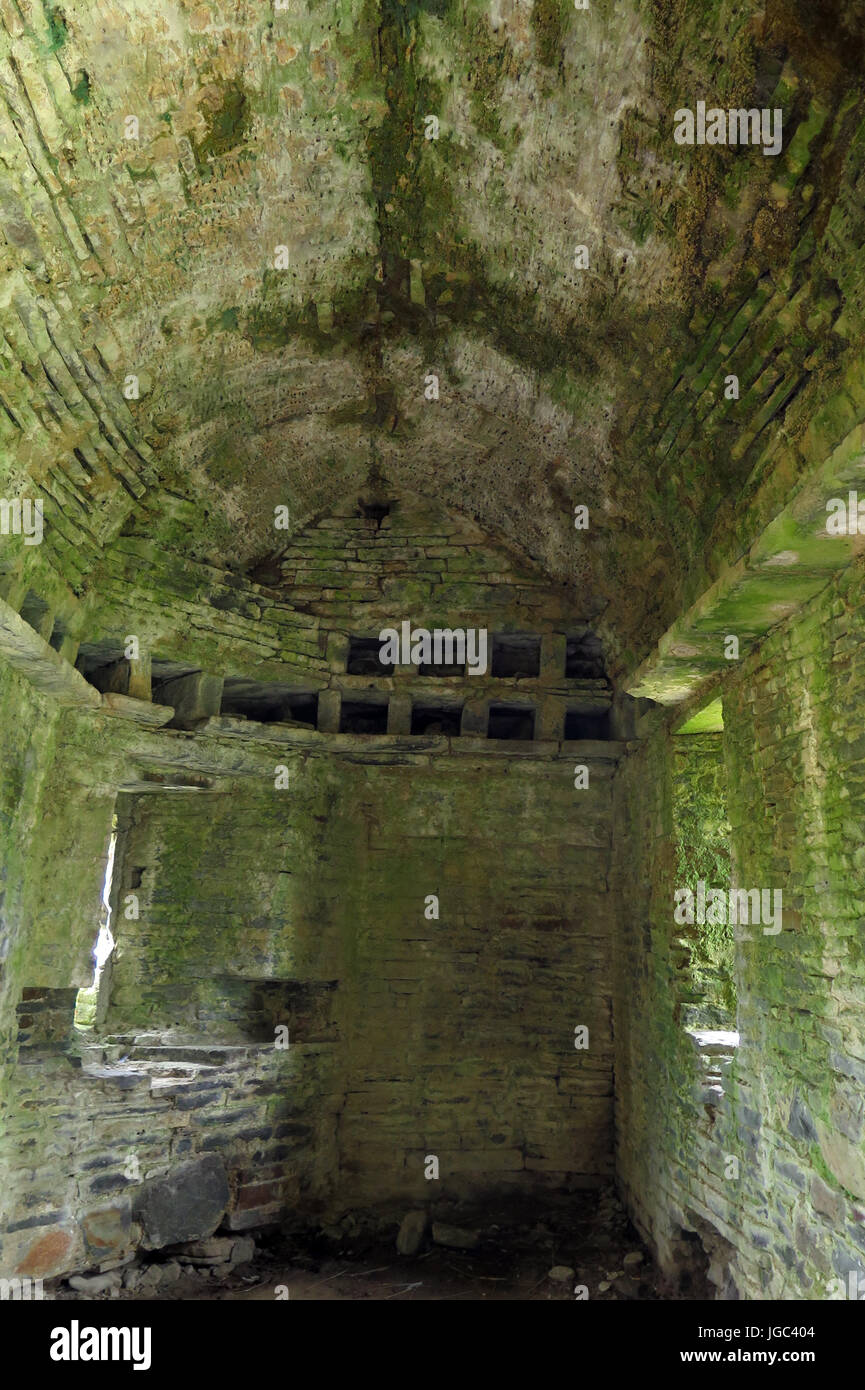 Carrigafoyle Castle, County Kerry, Ireland Stock Photo - Alamy