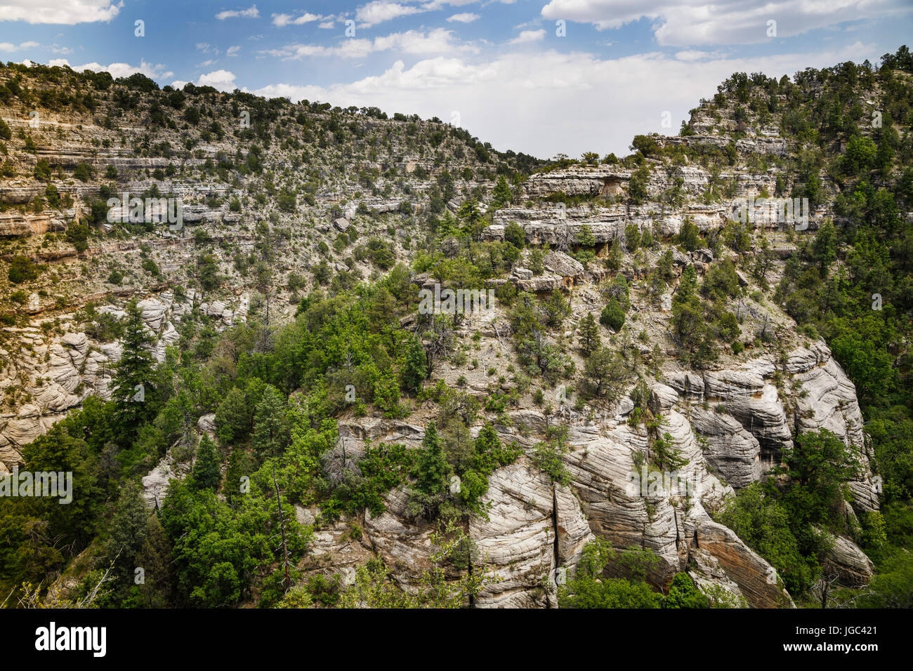 Walnut canyon arizona hi-res stock photography and images - Alamy