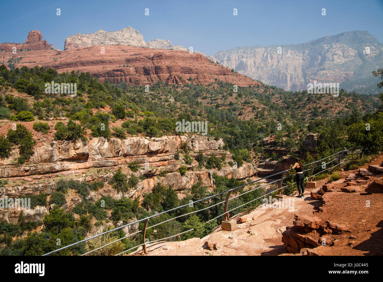 Coconino national forest hi-res stock photography and images - Alamy
