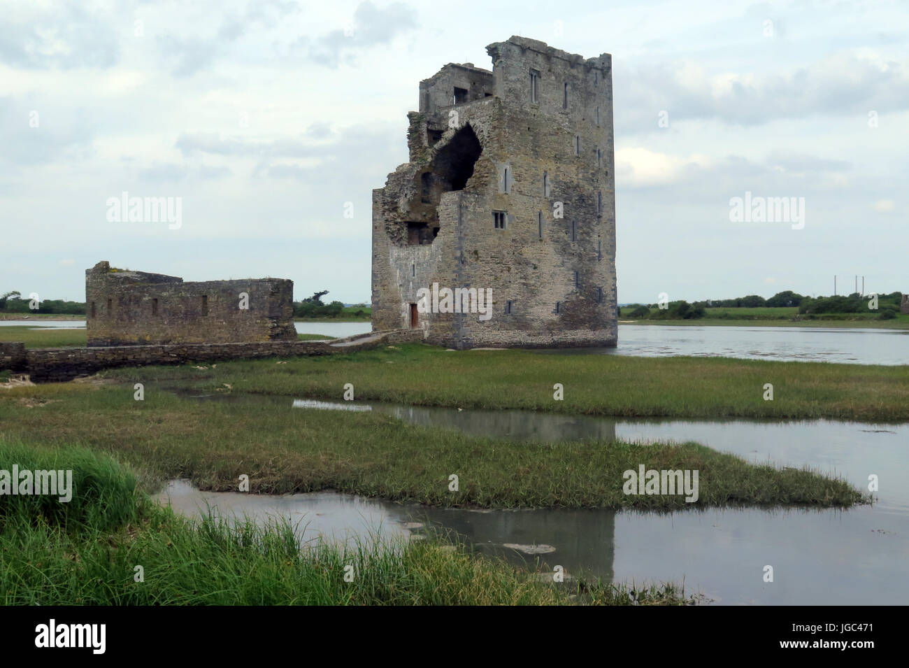 Carrigafoyle Castle, County Kerry, Ireland Stock Photo - Alamy