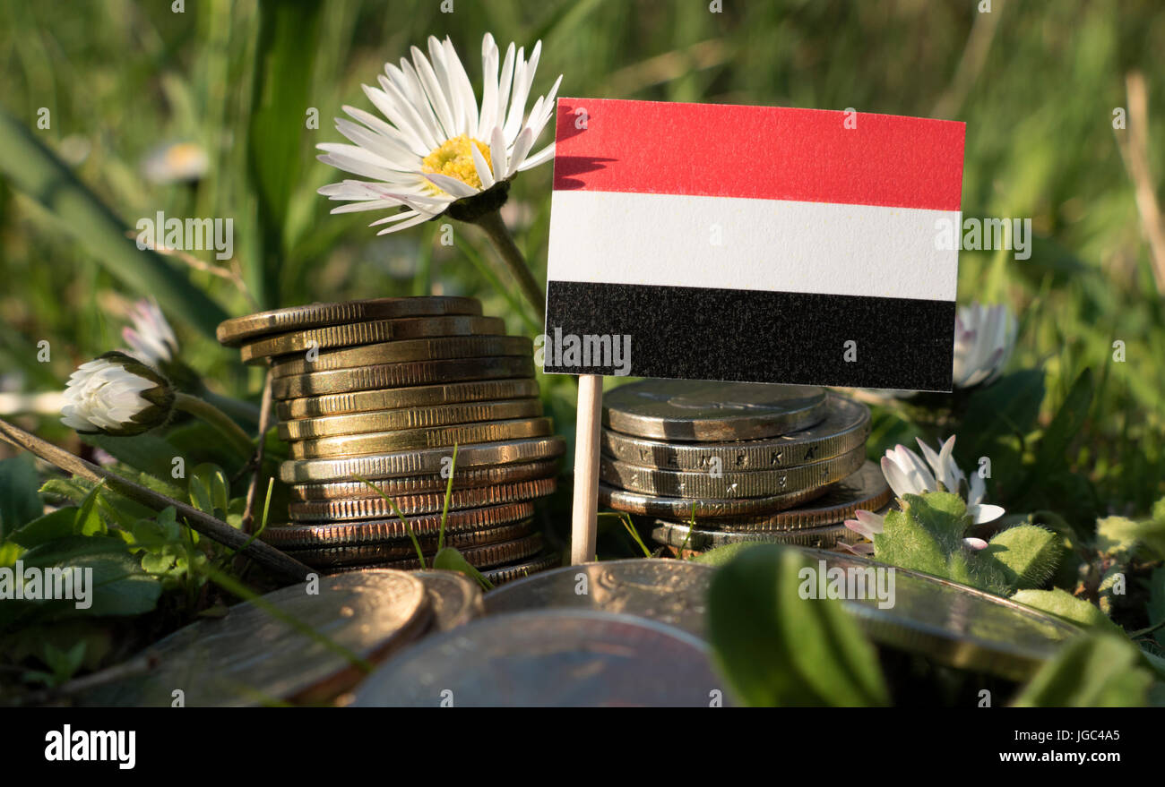 Yemen national flower hi-res stock photography and images - Alamy