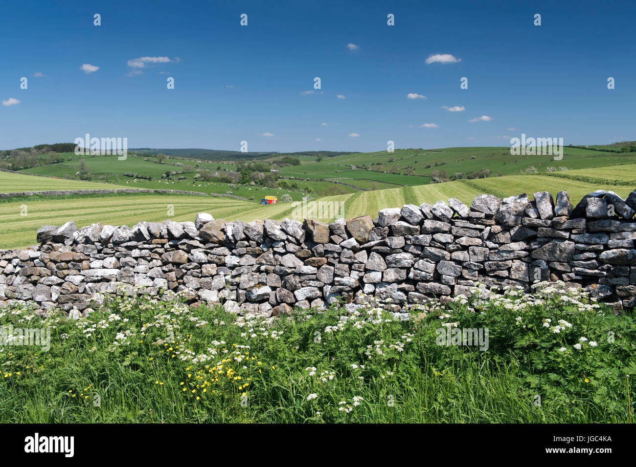 Grassland dry meadows hi-res stock photography and images - Alamy
