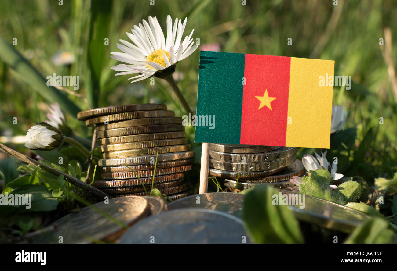 Cameroon flower hi-res stock photography and images - Alamy