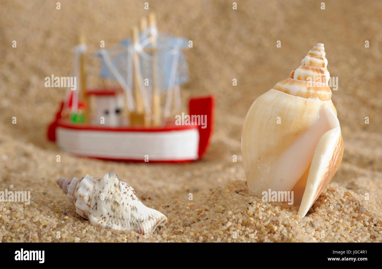Shells sand beach sea sail boat hi-res stock photography and images - Alamy