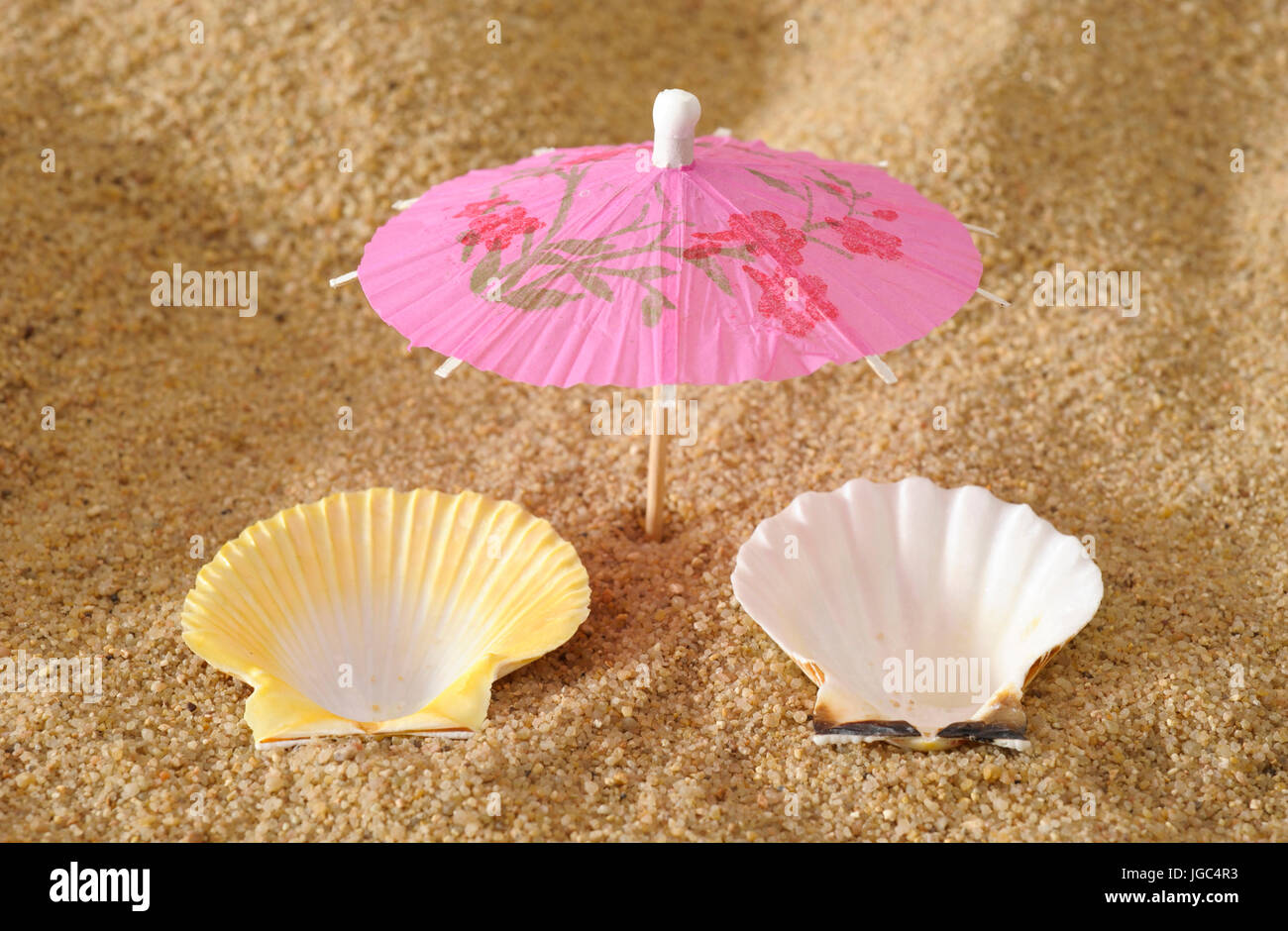 shells with parasol at beach as symbol at vacation Stock Photo - Alamy