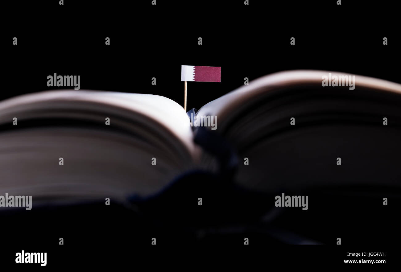 Education in qatar concept hi-res stock photography and images - Alamy