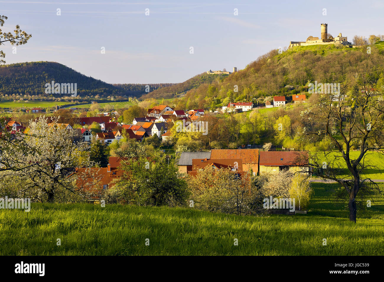 Flowering fruit trees at Muhlberg with Gleichen Castle and Mühlburg ...