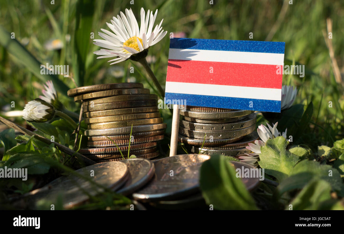Costa Rican flag with stack of money coins with grass and flowers Stock ...