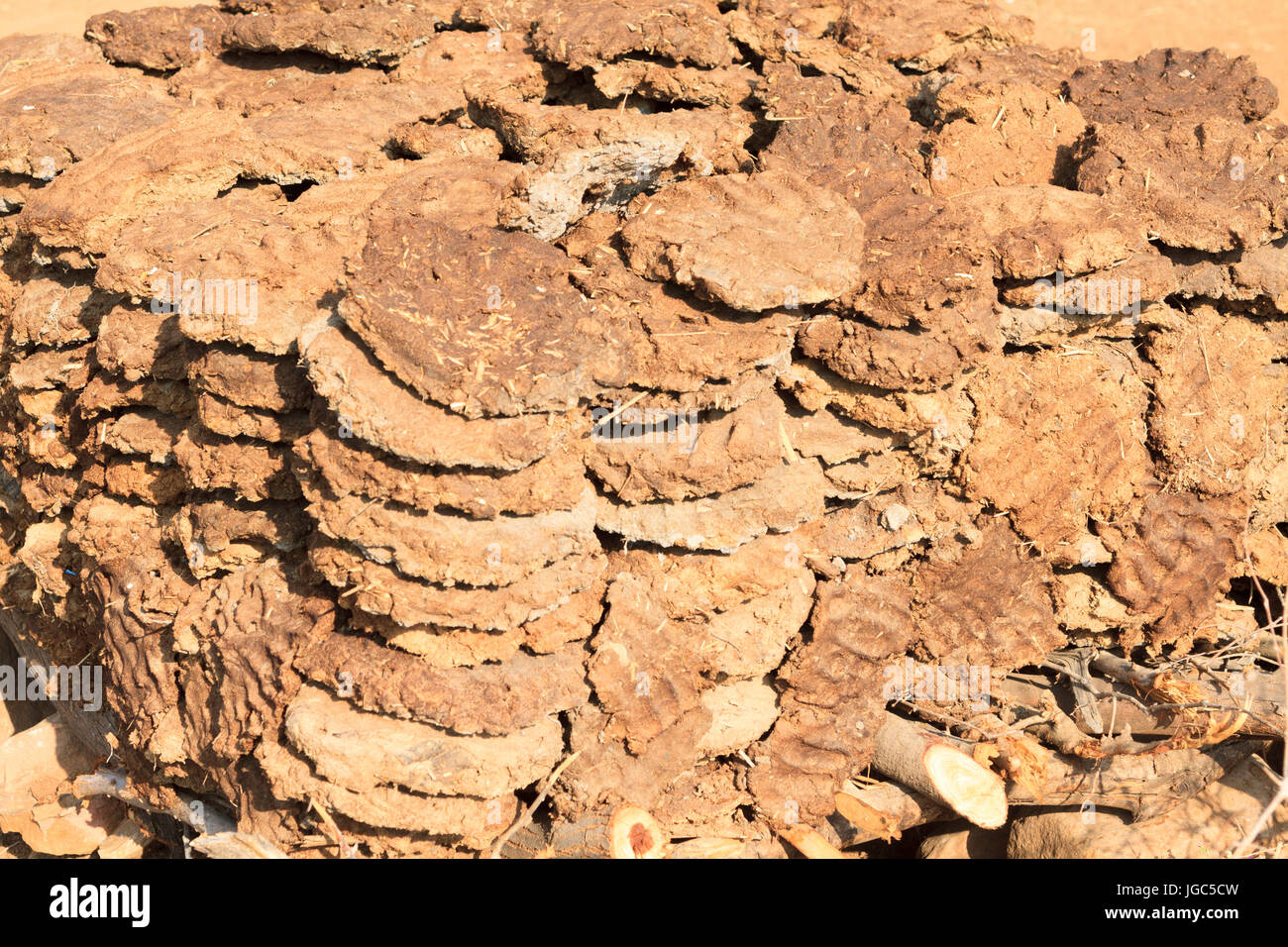 Dried cow dung hi-res stock photography and images - Alamy
