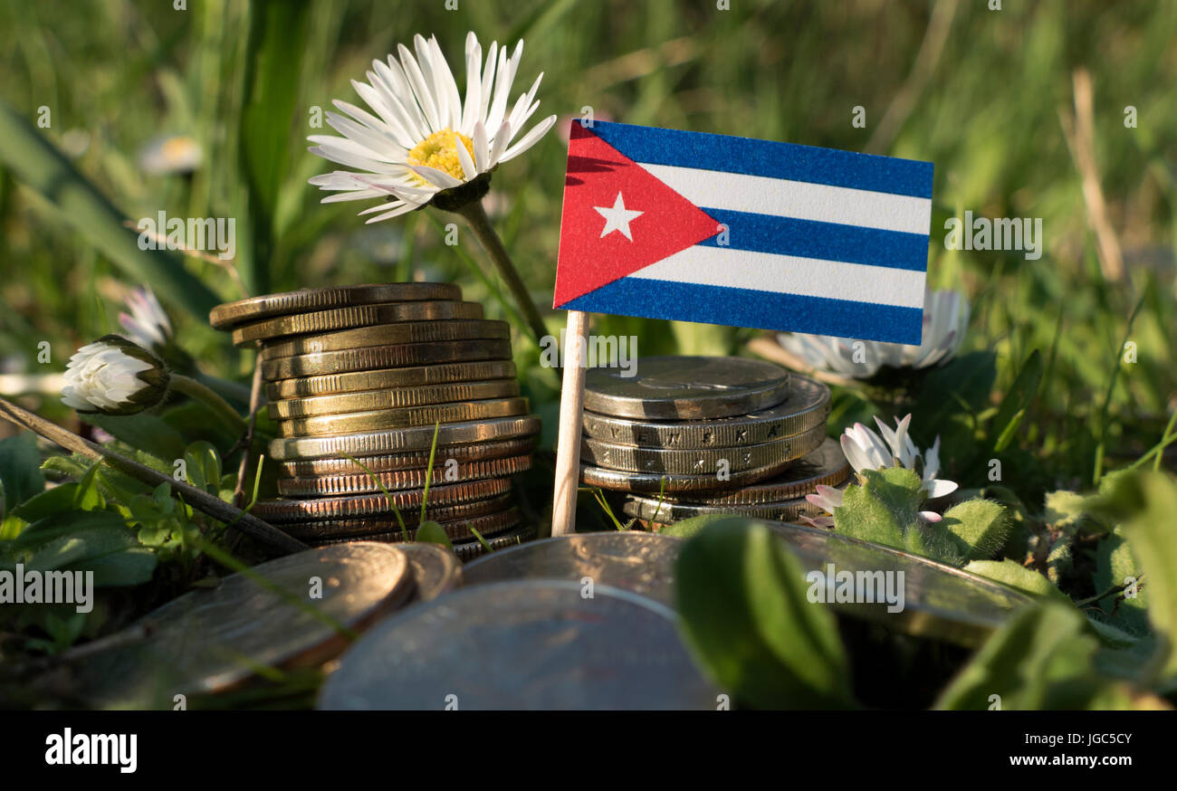 Cuban flag with stack of money coins with grass and flowers Stock Photo ...