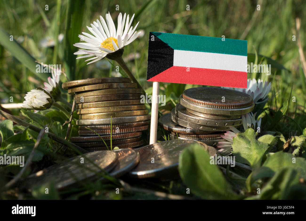 Kuwaiti flag with stack of money coins with grass and flowers Stock ...