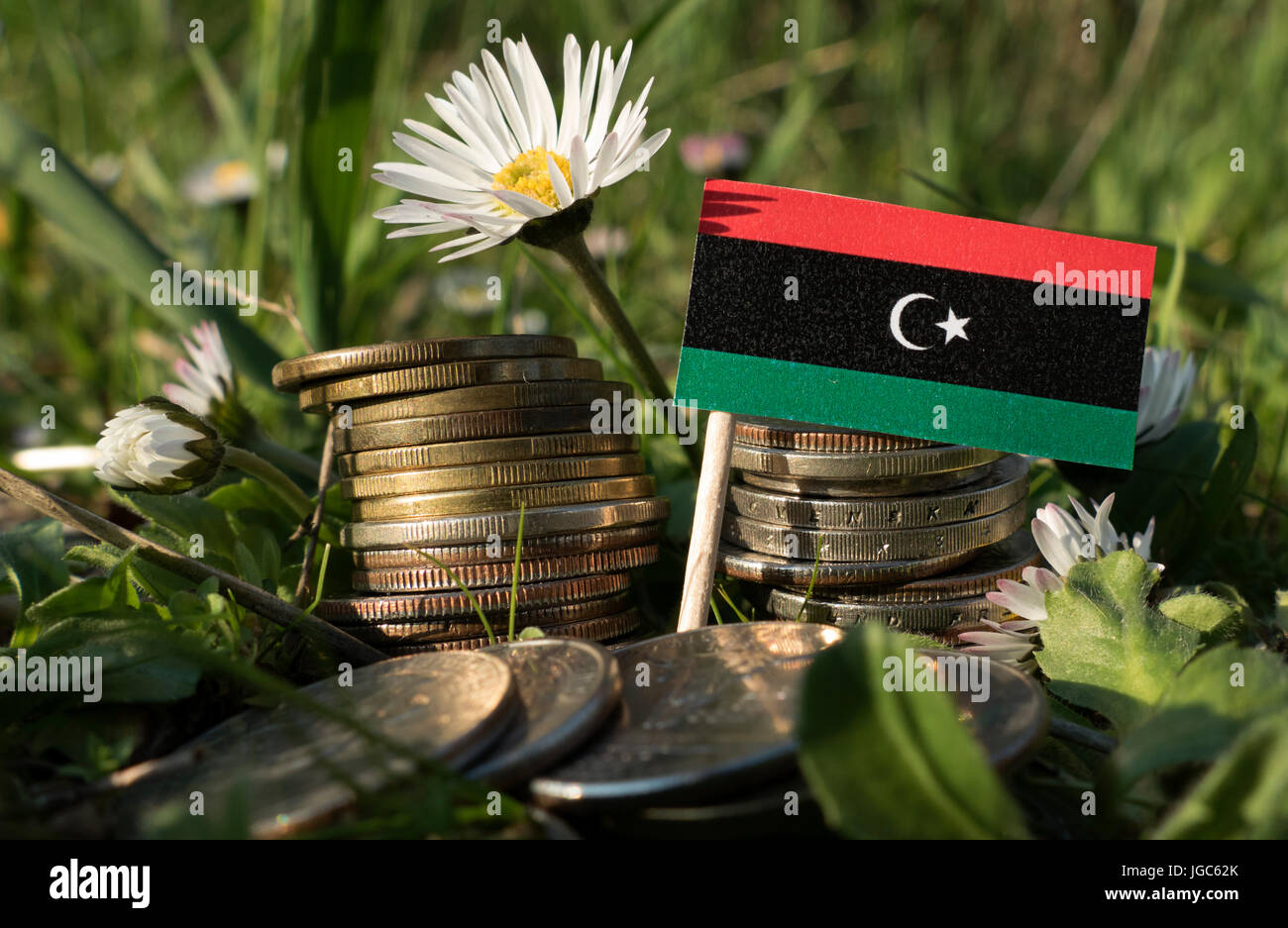Libya national flower hi-res stock photography and images - Alamy