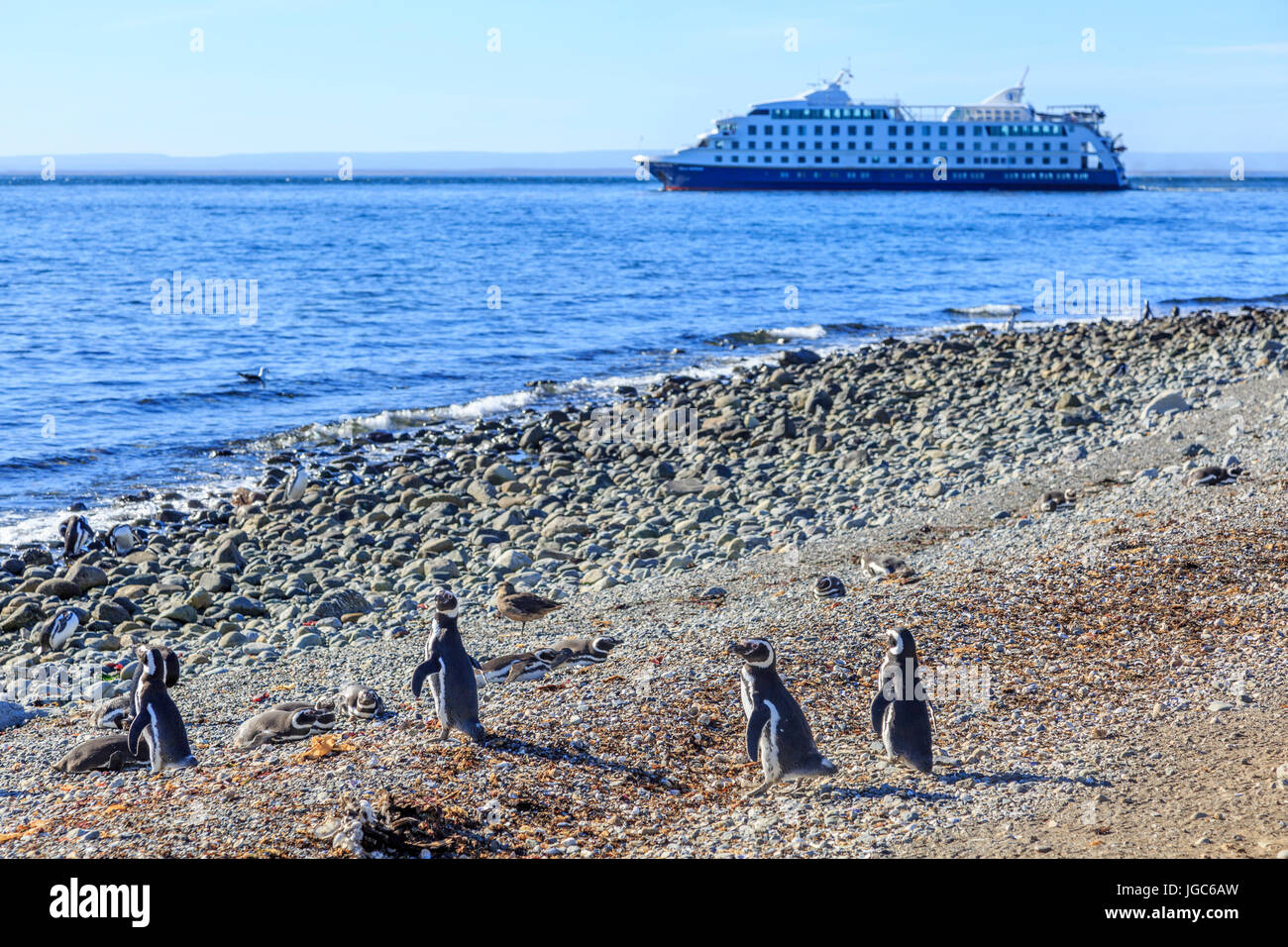 Monumento Natural Los Pinguinos, Isla Magdalena, Punta Arenas, Chile ...