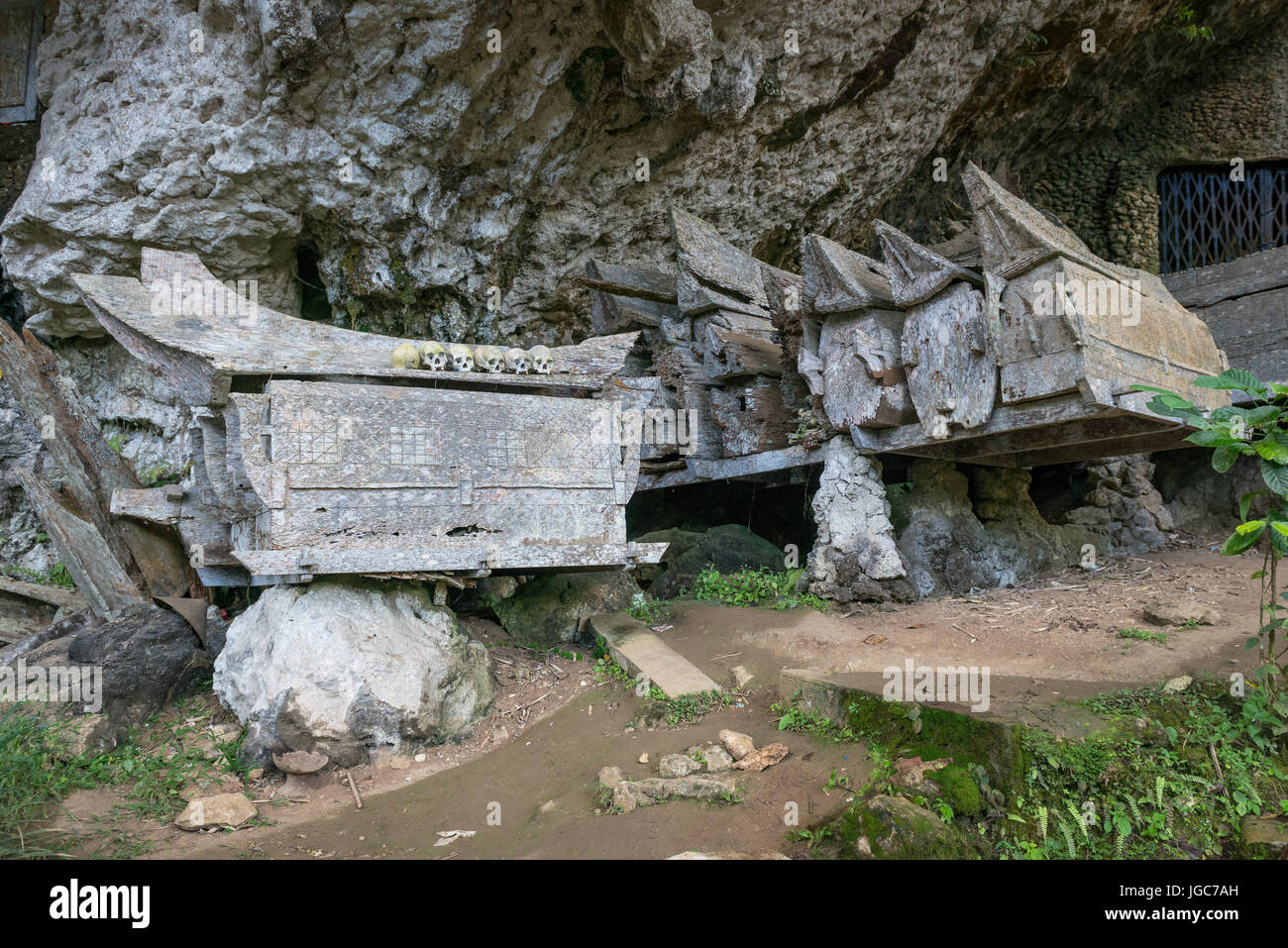 Torajan cemetery, broken coffins and bones, Tana Toraja, Sulawesi ...