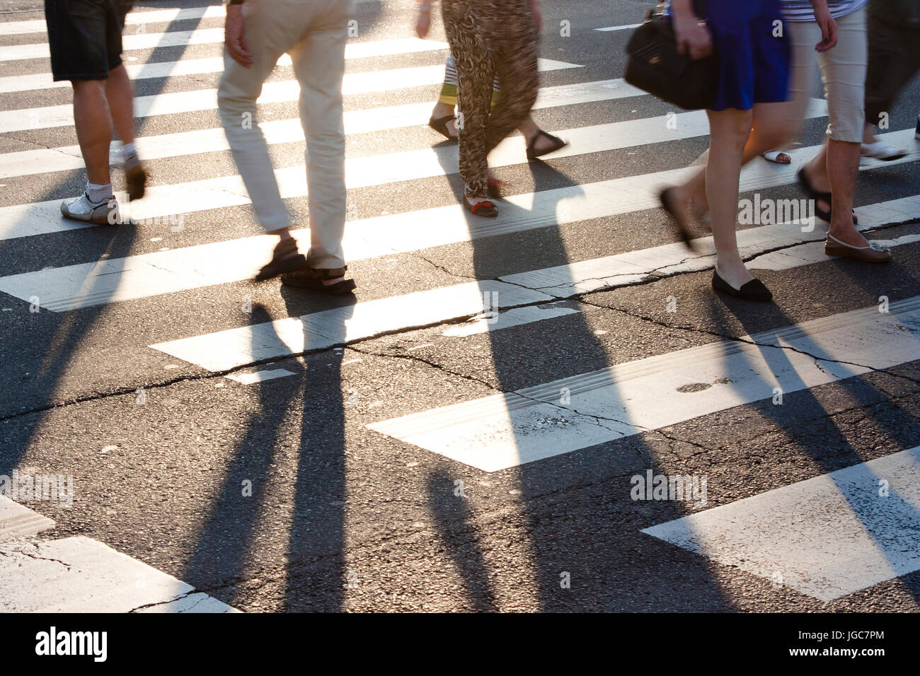 Man walking zebra crossing in hi-res stock photography and images - Alamy