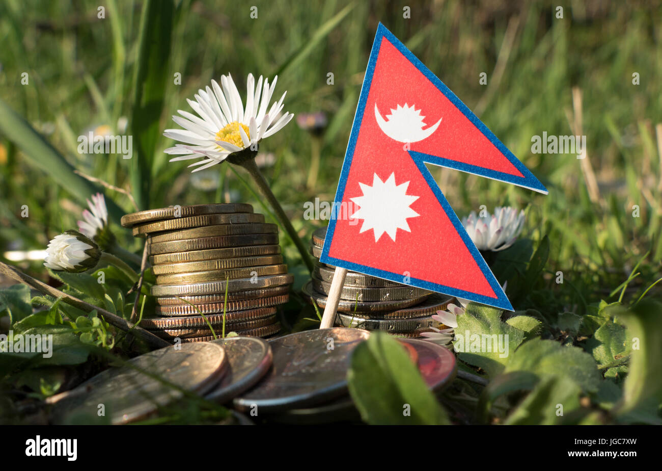 Nepali flag with stack of money coins with grass and flowers Stock ...