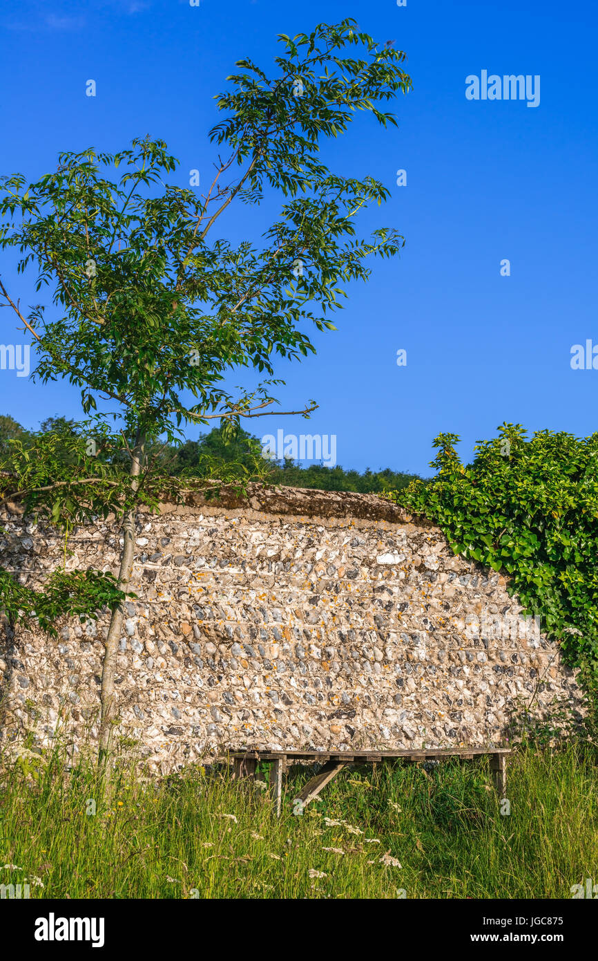 Arundel walks hi-res stock photography and images - Alamy