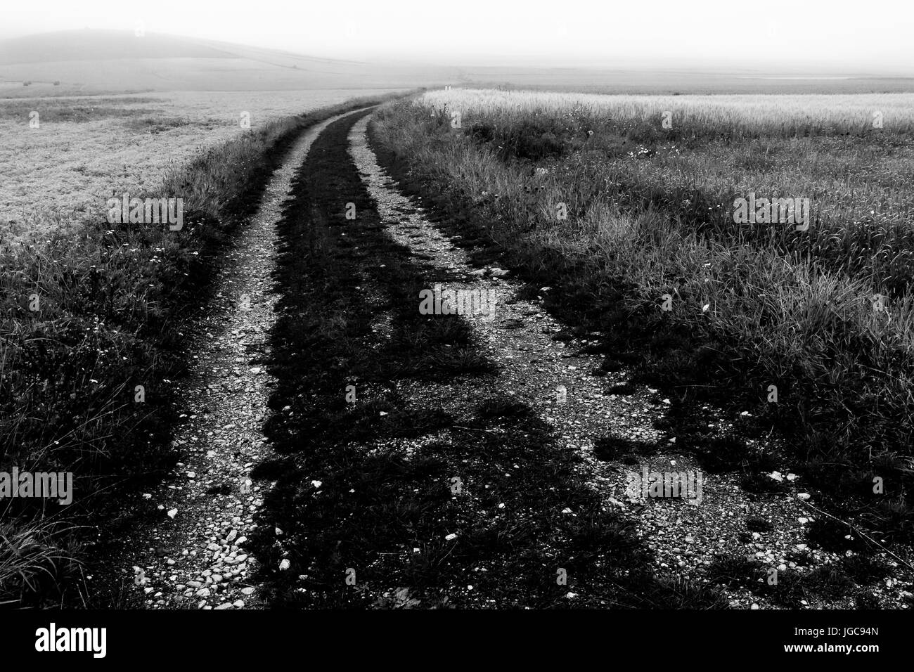 Road disappearing into the mist hi-res stock photography and images - Alamy