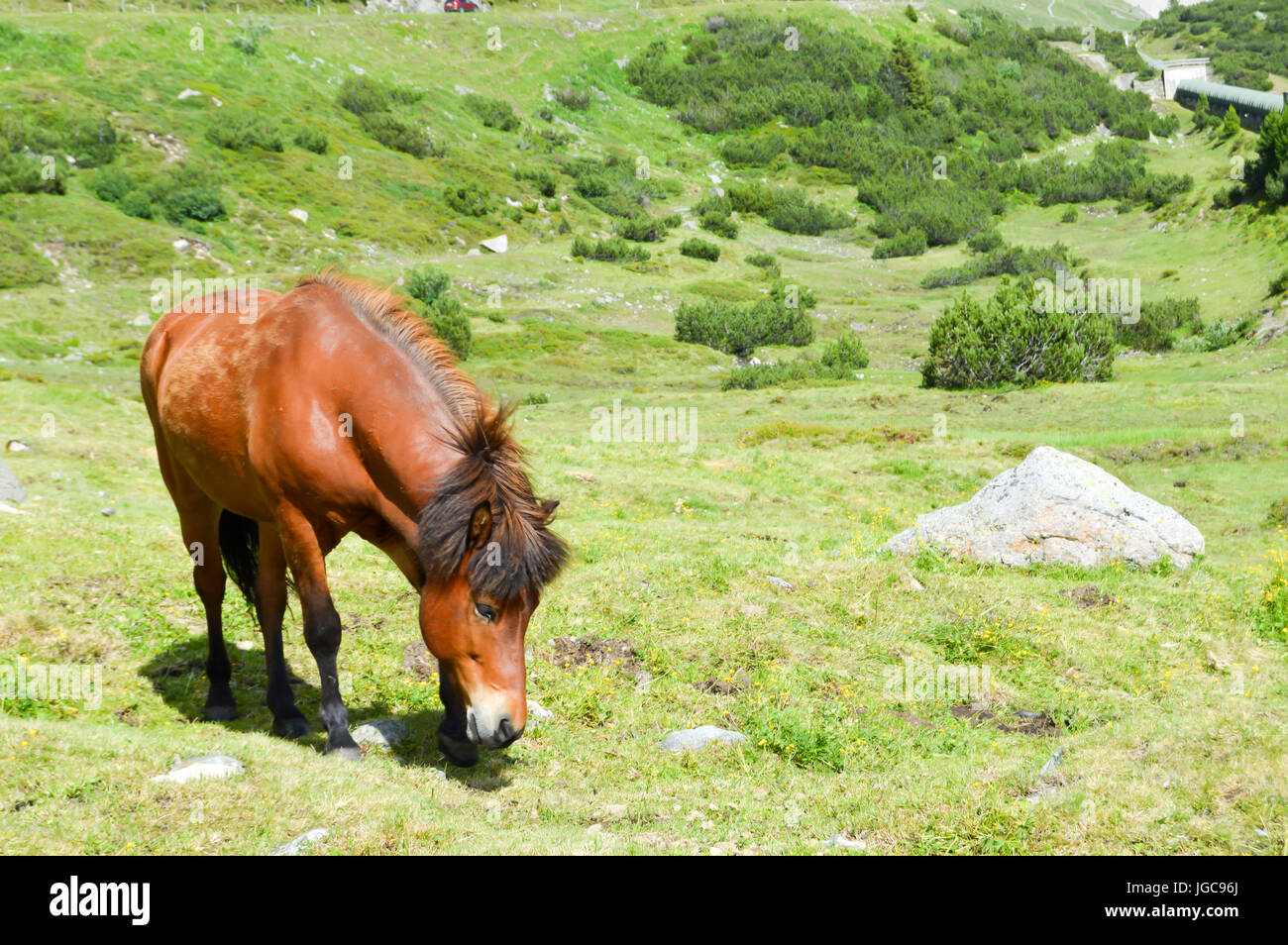 Tyrolean mountains hi-res stock photography and images - Alamy