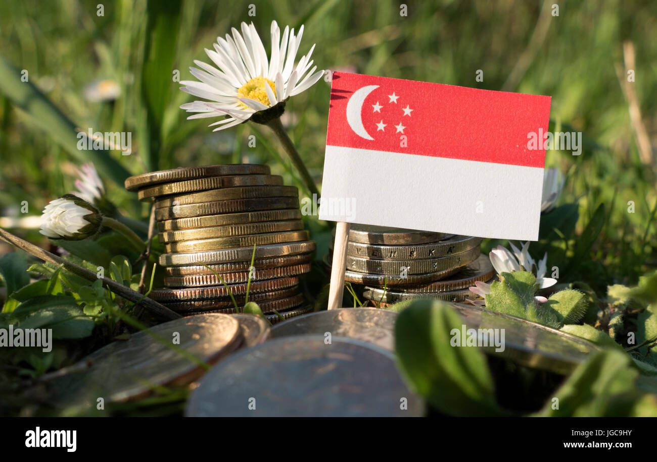 Singaporean flag with stack of money coins with grass and flowers Stock ...