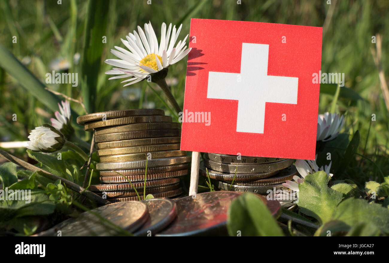 Swiss flag with stack of money coins with grass and flowers Stock Photo ...