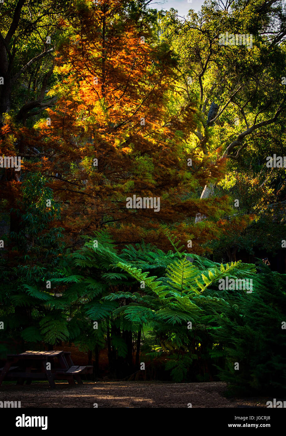 Araluen australia hi-res stock photography and images - Alamy