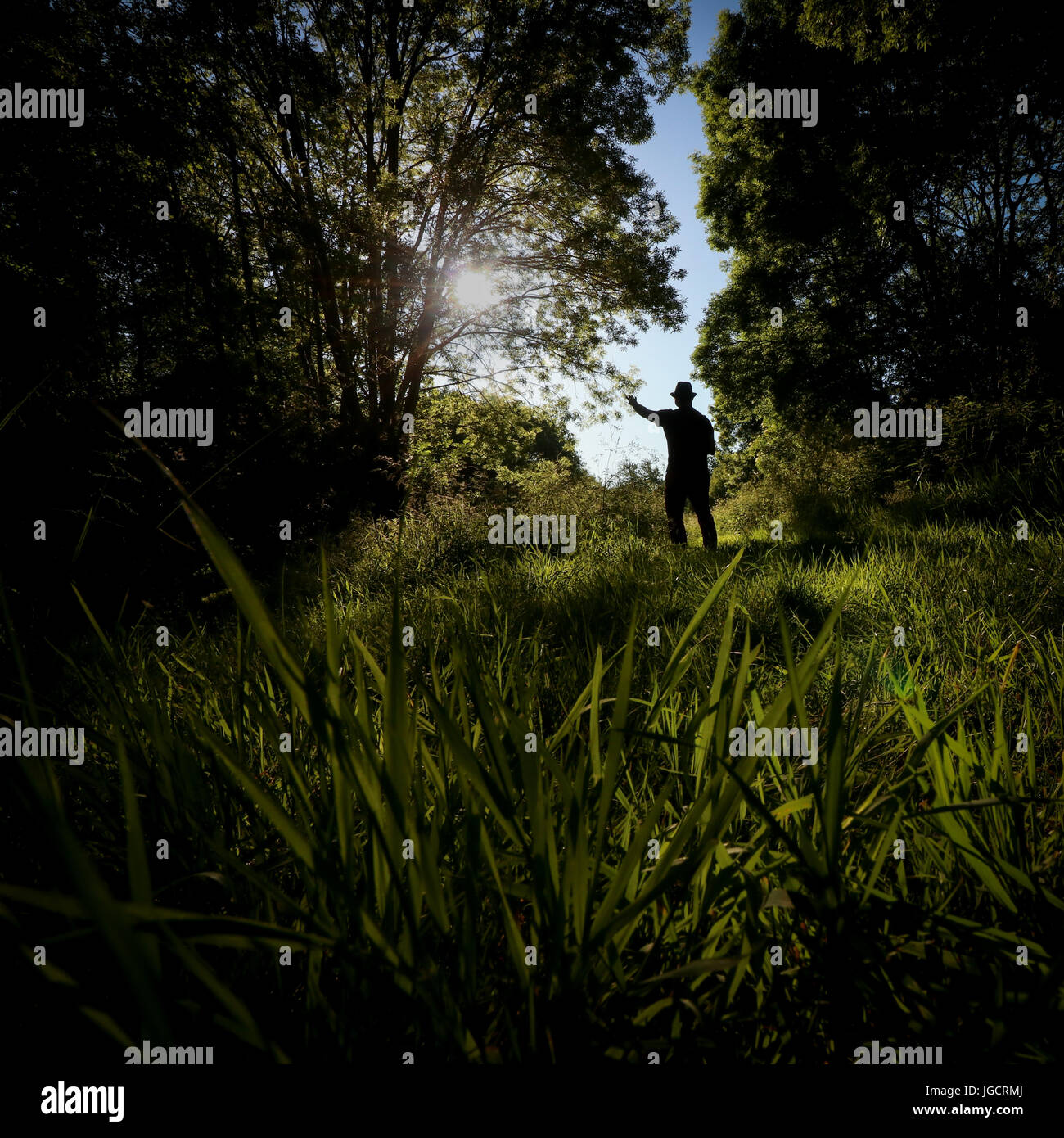 Arm silhouette hi-res stock photography and images - Alamy