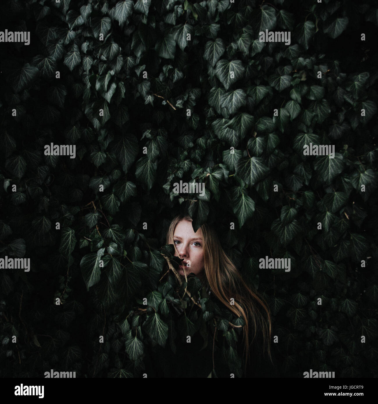 Woman hiding in an ivy bush Stock Photo - Alamy