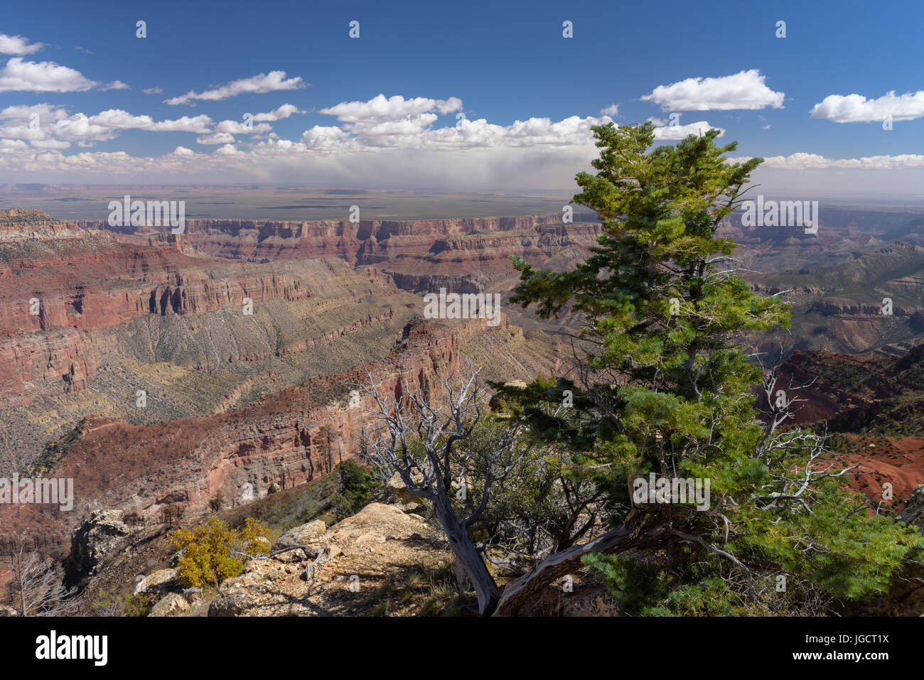 Grand canyon arizona hi-res stock photography and images - Alamy