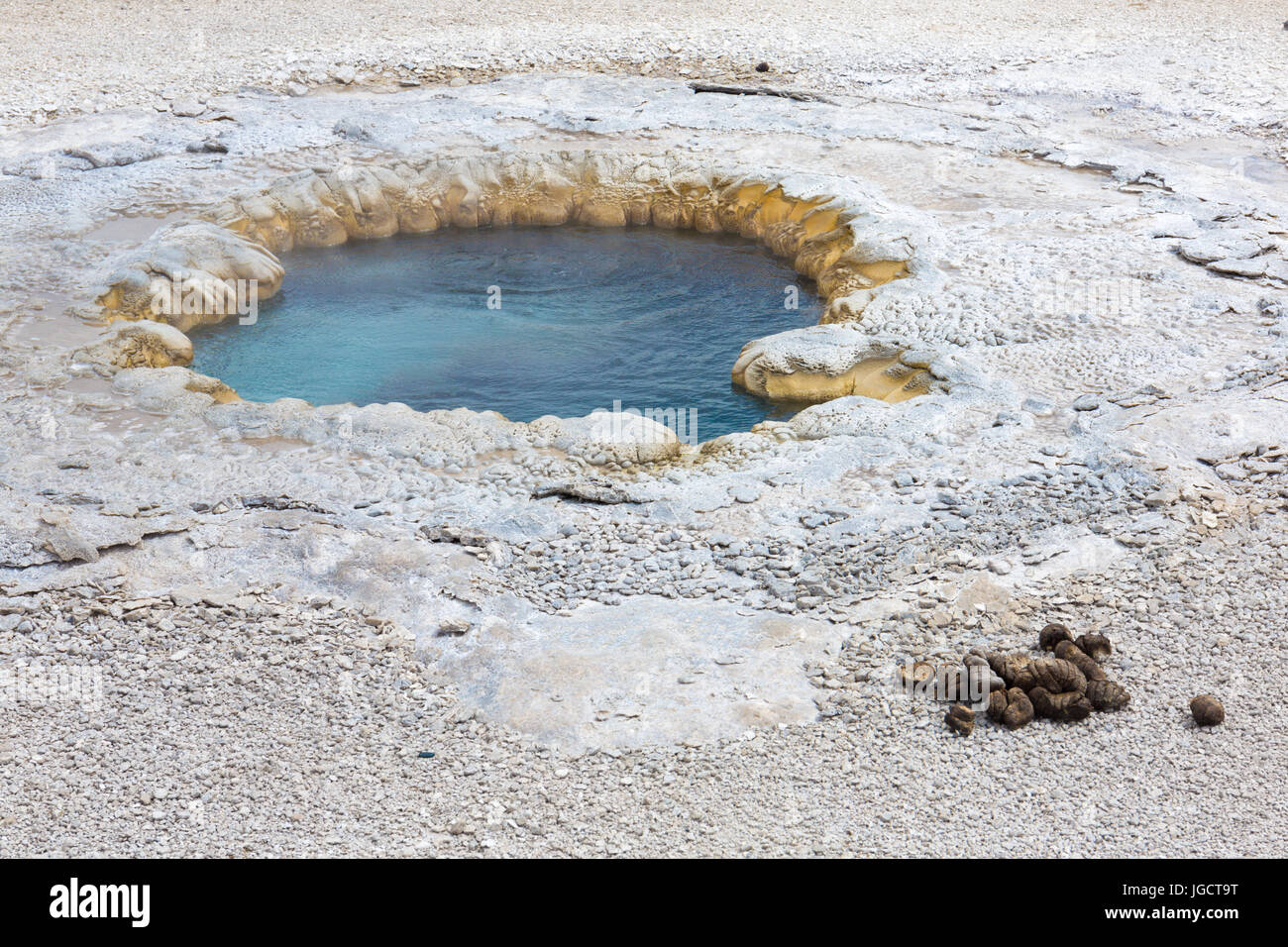 Beach Spring with animal droppings in Upper Geyser Basin near Old ...