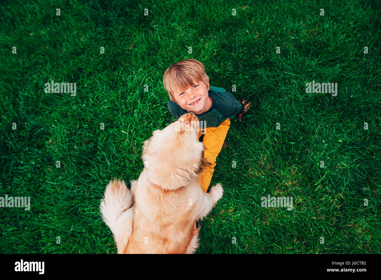 Overhead view of a boy playing with his golden retriever dog Stock ...