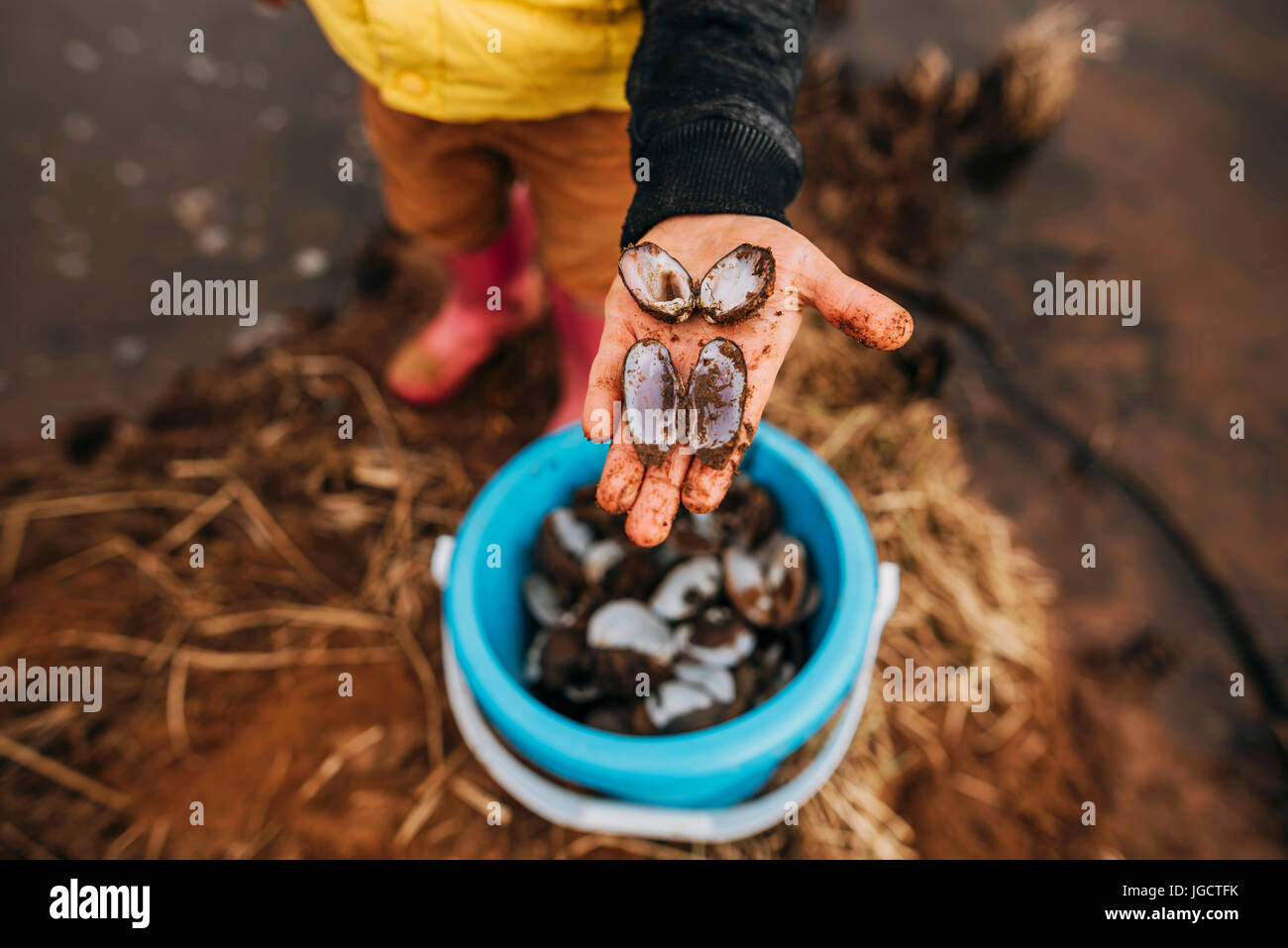 Clams On The Beach High Resolution Stock Photography and Images - Alamy