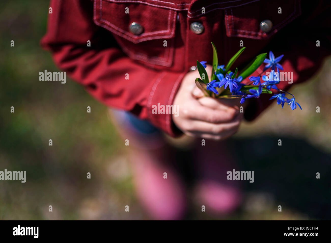 Close up boy holding flowers hi-res stock photography and images - Alamy