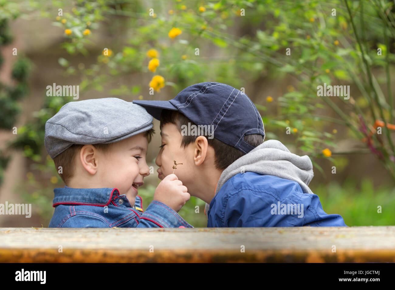 Boy kissing his brother Stock Photo - Alamy