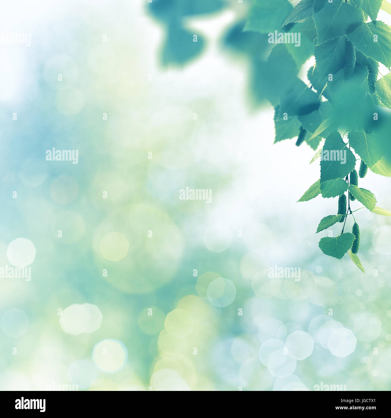 Early noon hi-res stock photography and images - Alamy