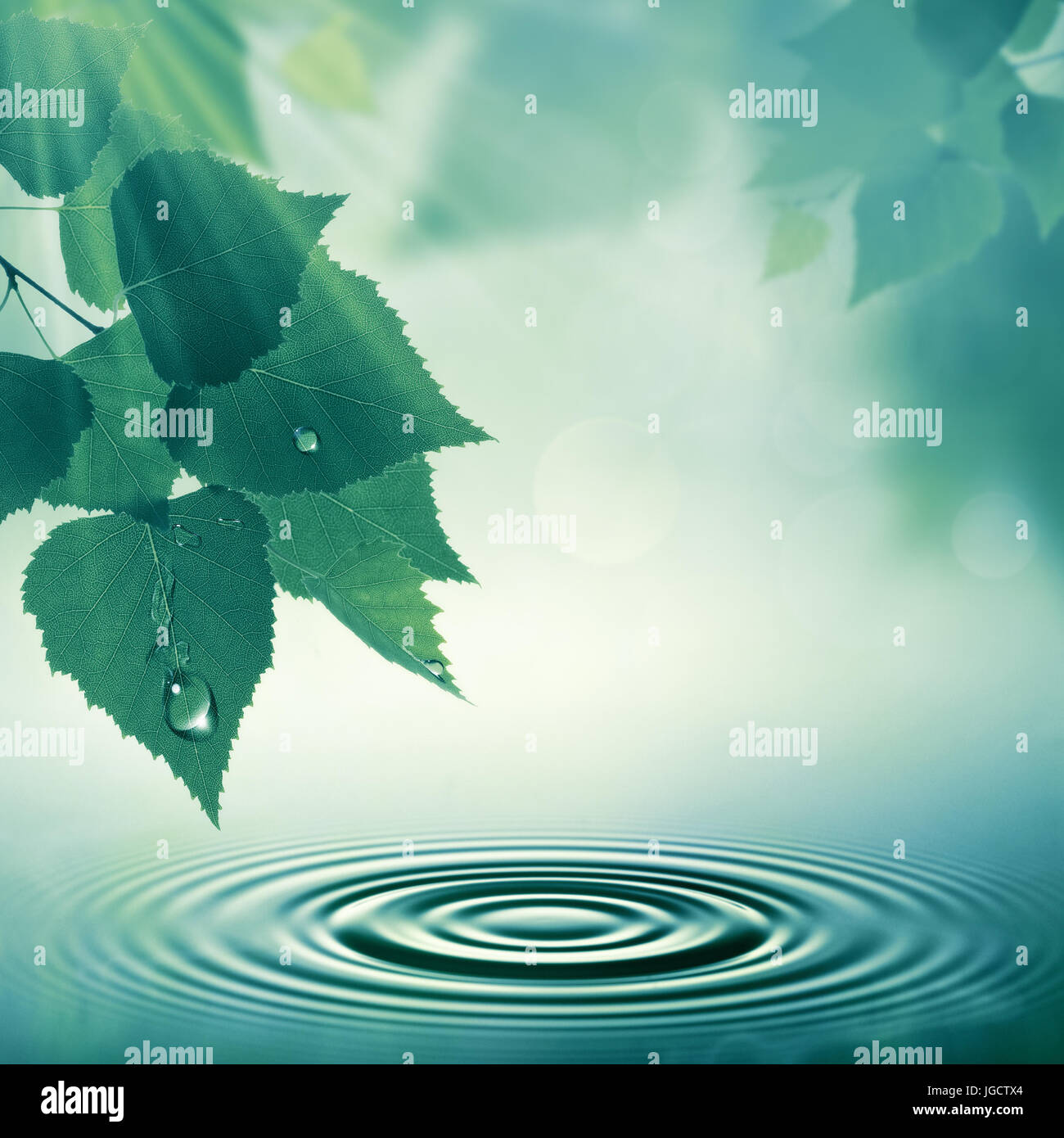 Early morning, abstract summer landscape with green foliage Stock Photo ...