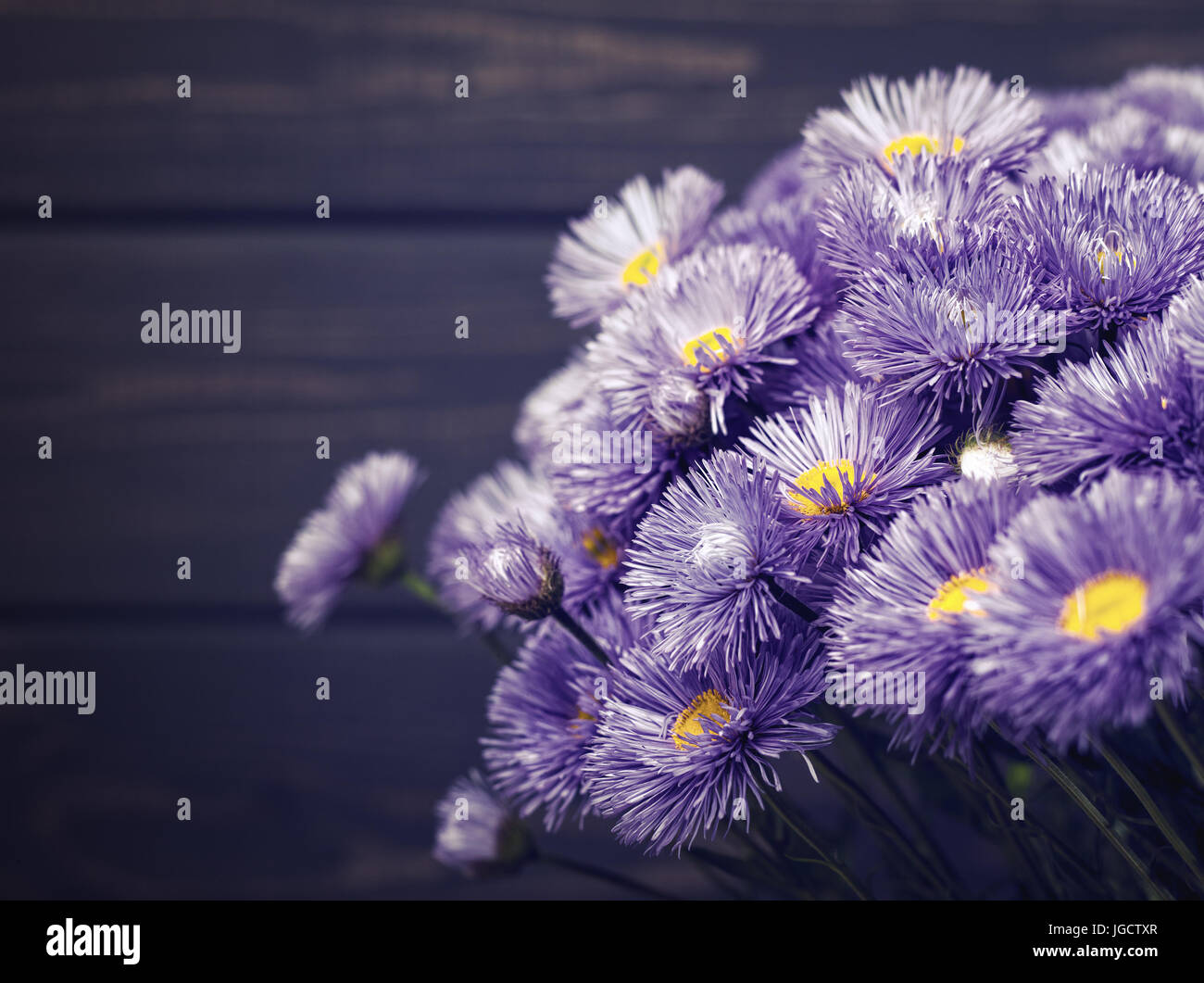 Daisy flowers over old wooden desk, floral backgrounds Stock Photo - Alamy