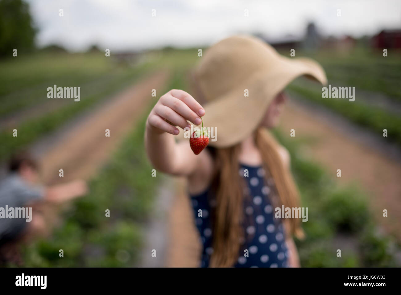 Boy friends strawberry hi-res stock photography and images - Alamy