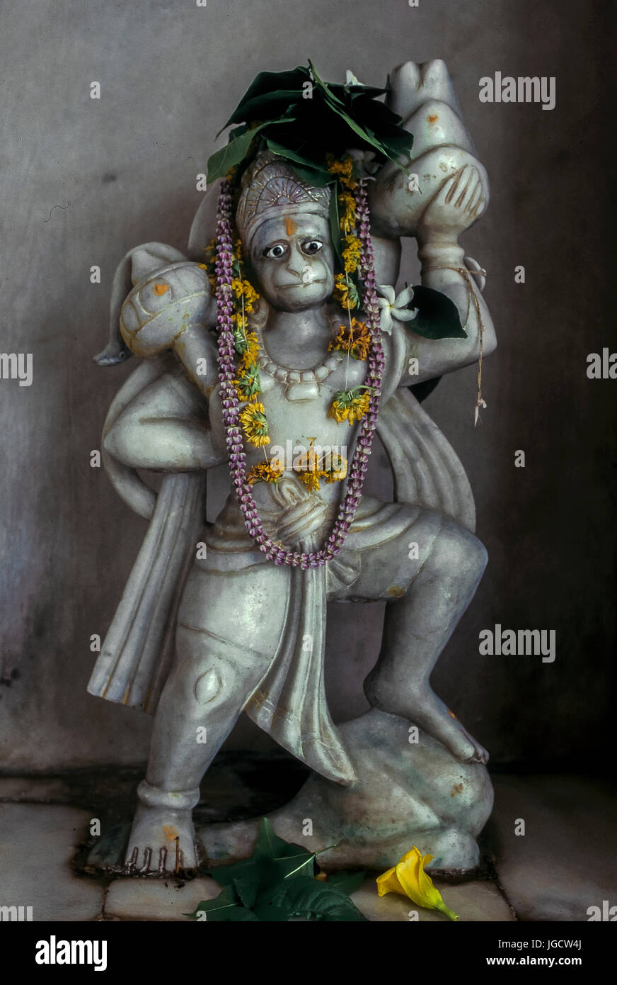 Hanuman idol, surpaneshwar Shiva temple, bharuch, Gujarat, india, asia ...