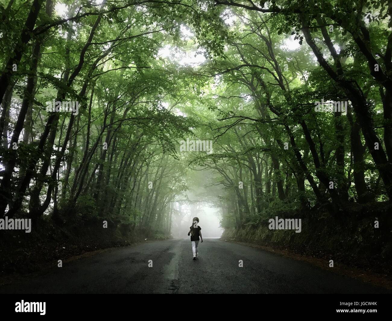Foggy walking hi-res stock photography and images - Alamy