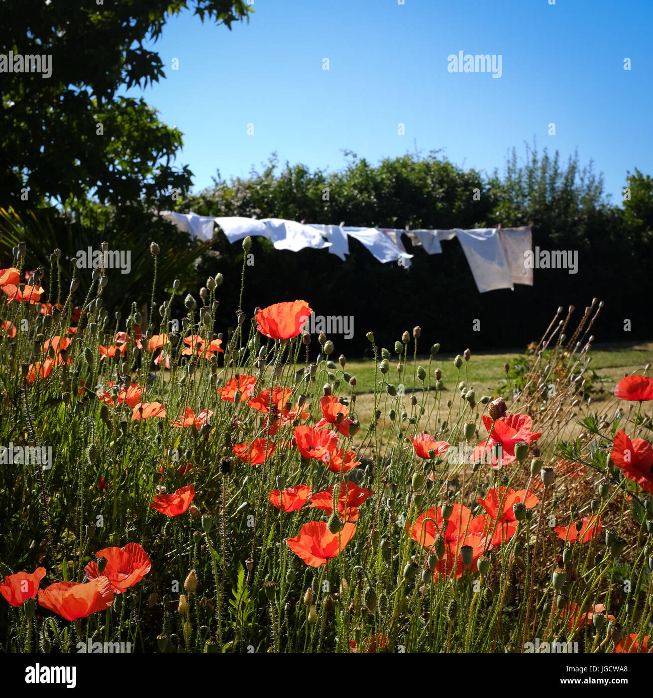 Laundry blowing in wind on hi-res stock photography and images - Alamy