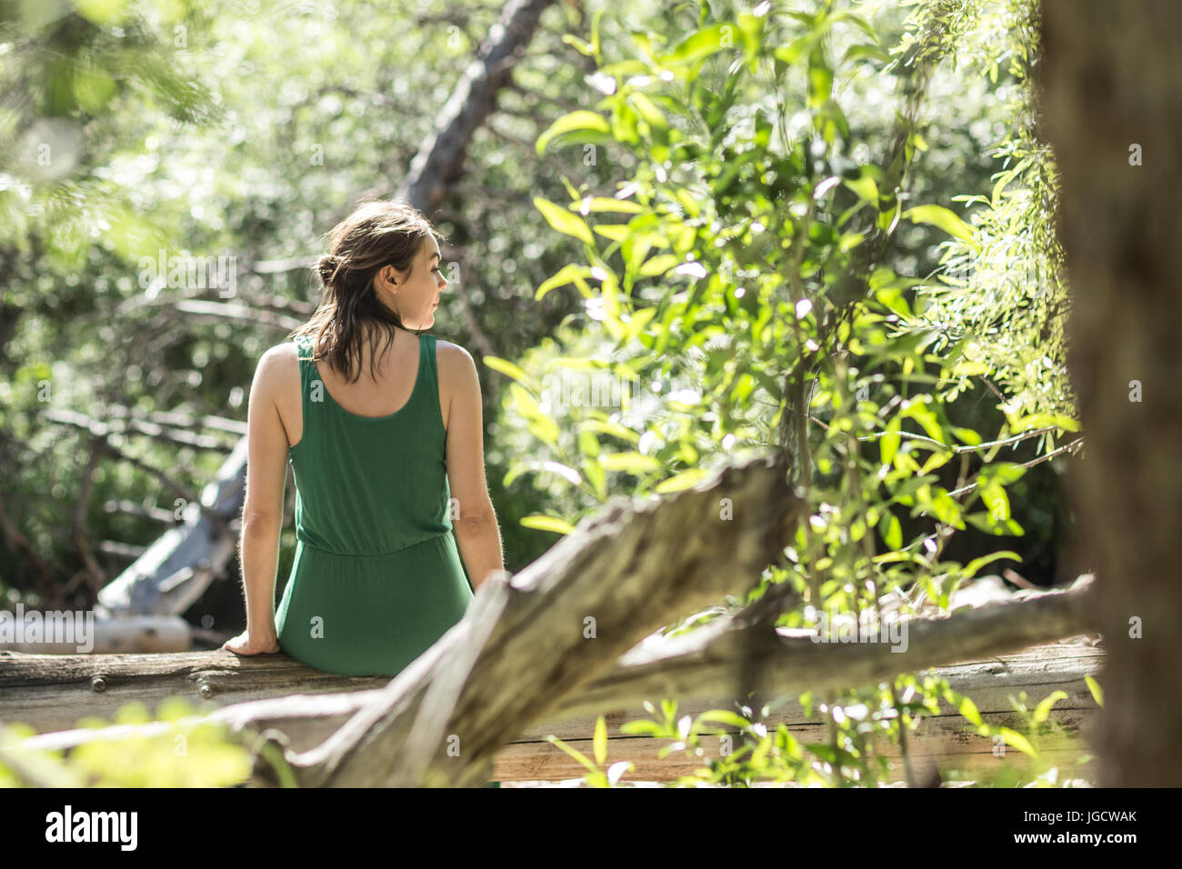 Woman up in a tree hi-res stock photography and images - Alamy
